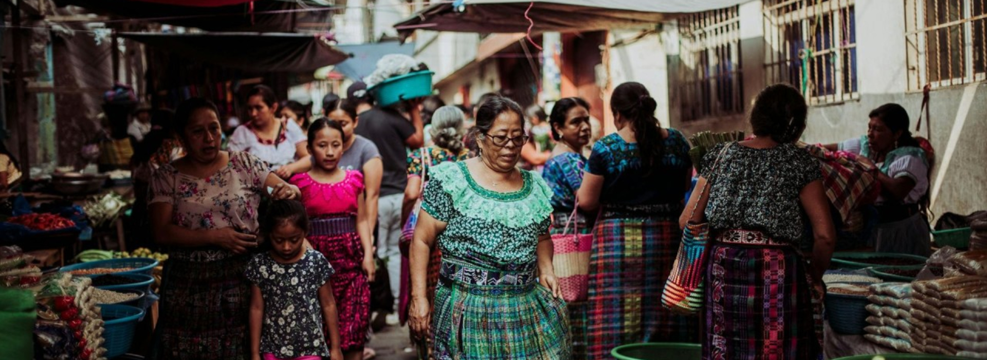 Libertad y progreso | Universidad Francisco Marroquín